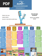 Técnica de Bass Modificada | PDF | Diente | Odontología