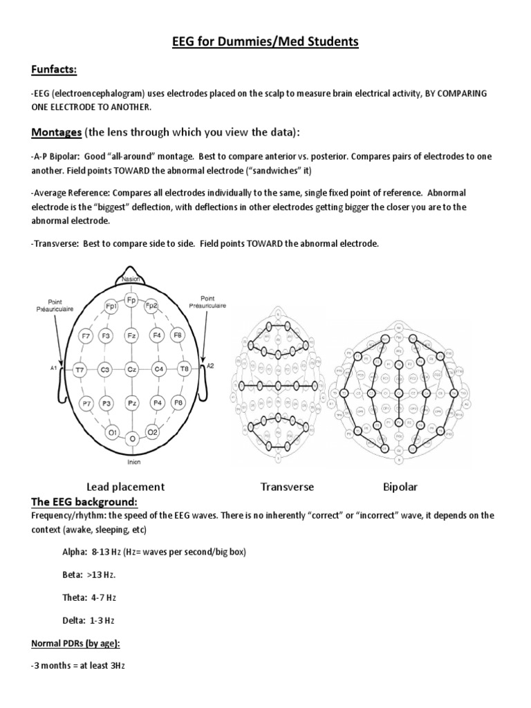 EEG For Dummies | PDF | Electroencephalography | Epilepsy