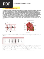 LAB# 2 and 3 - Electrode Placement For PSG Study | PDF ...