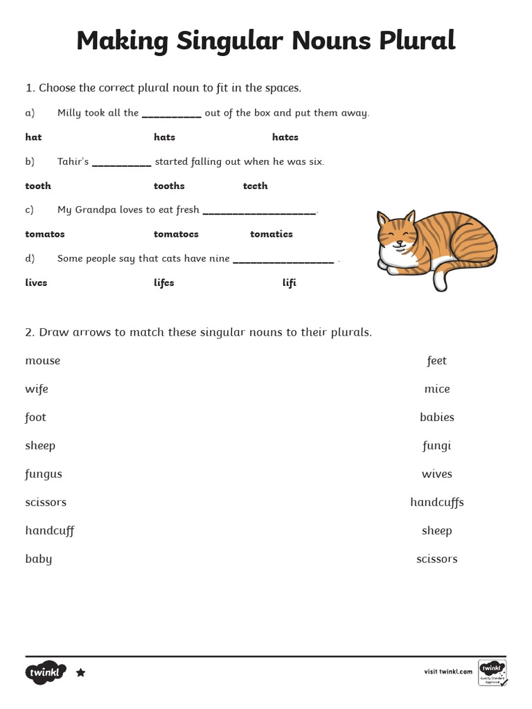 Making Singular Nouns Plural: 1. Choose The Correct Plural Noun To Fit ...