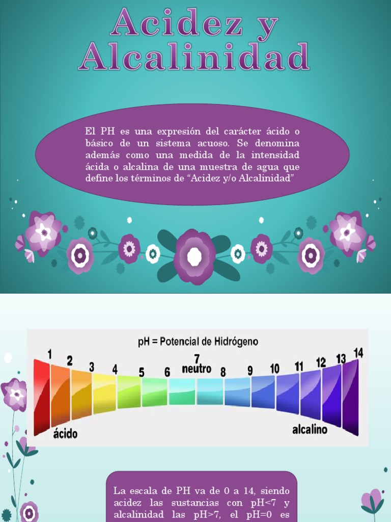Acidez y Alcalinidad | PDF | Ph | Ácido