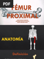 Cerclaje de Rótula: Técnica Quirúrgica | PDF | Articulación | Rodilla