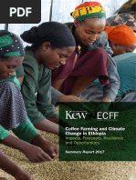 Introduction To Coffee | PDF | Coffee | Plants