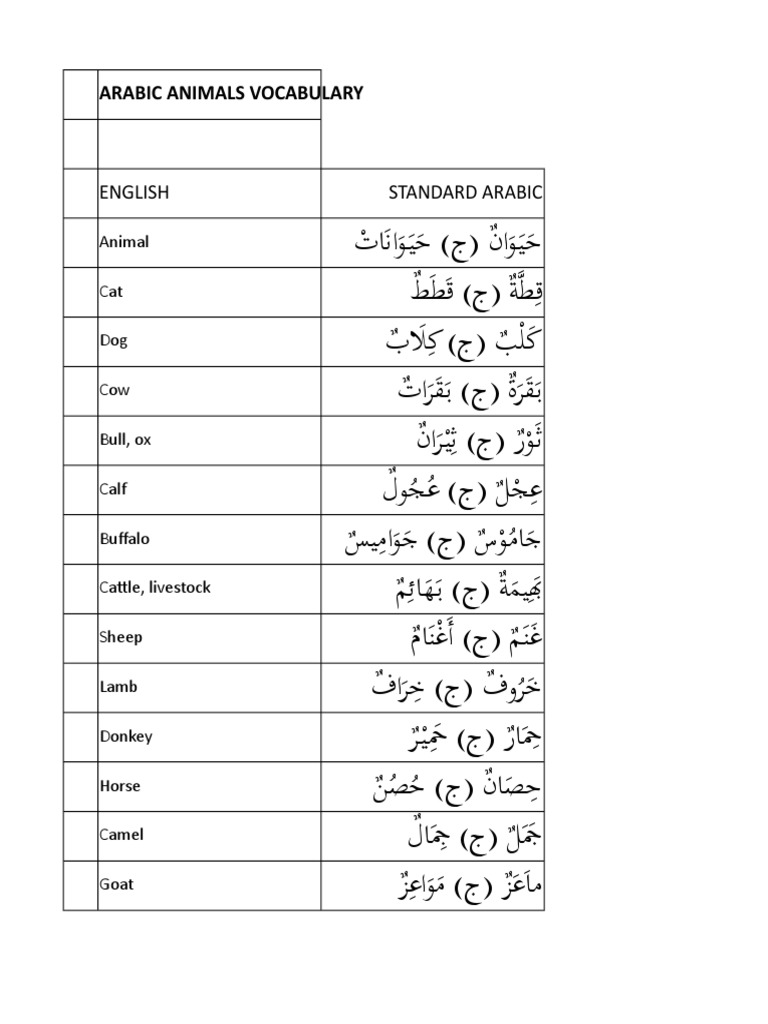 Arabic New | PDF