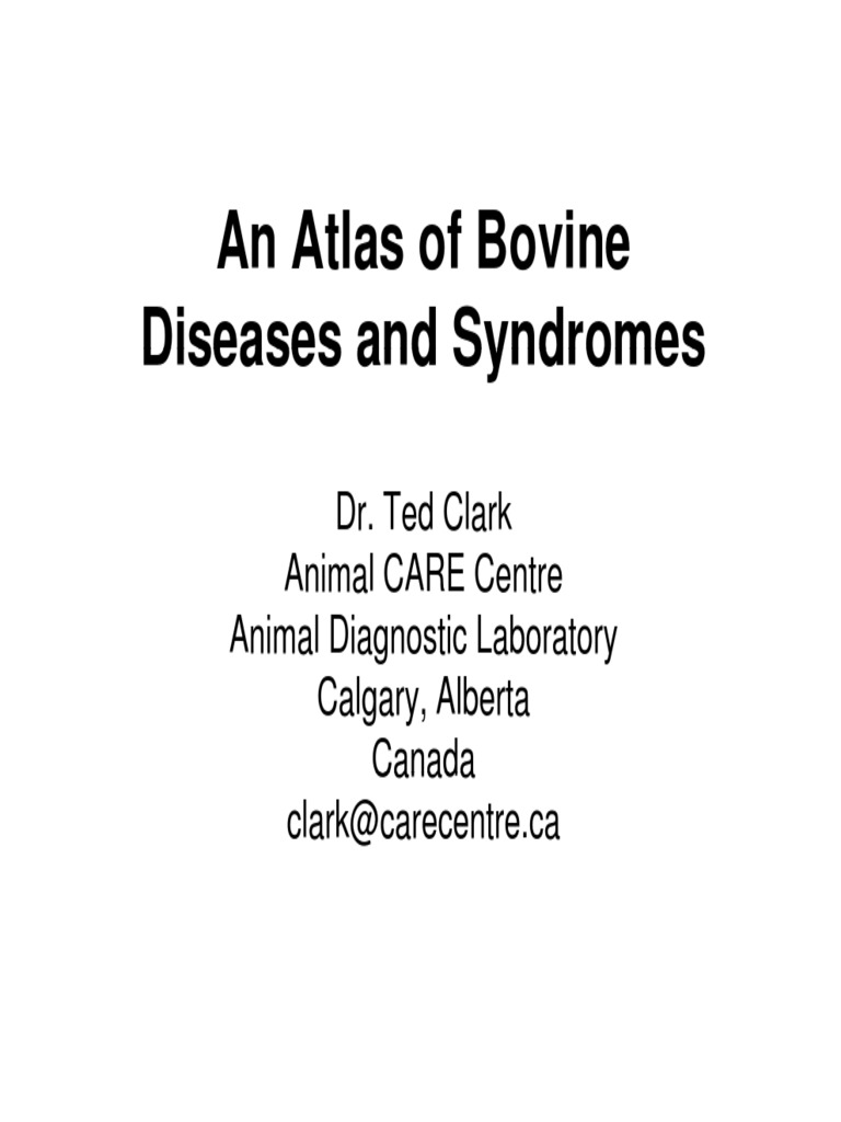 Bovine Disease Atlas | PDF | Infection | Pneumonia