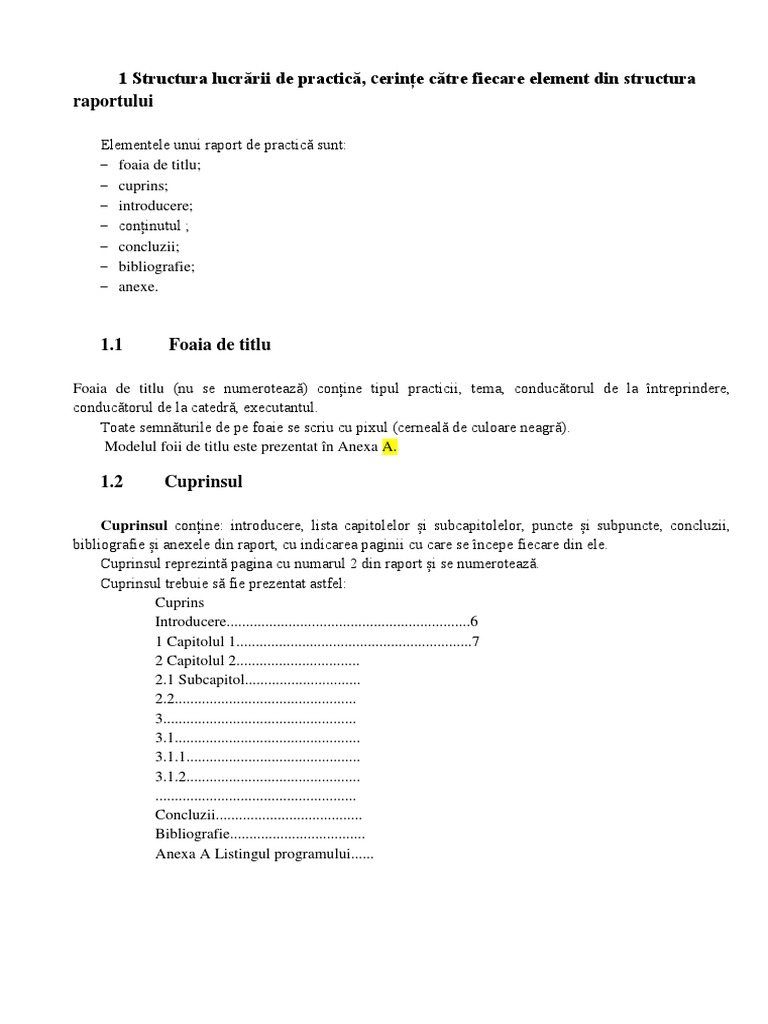 Structura Raportului | PDF