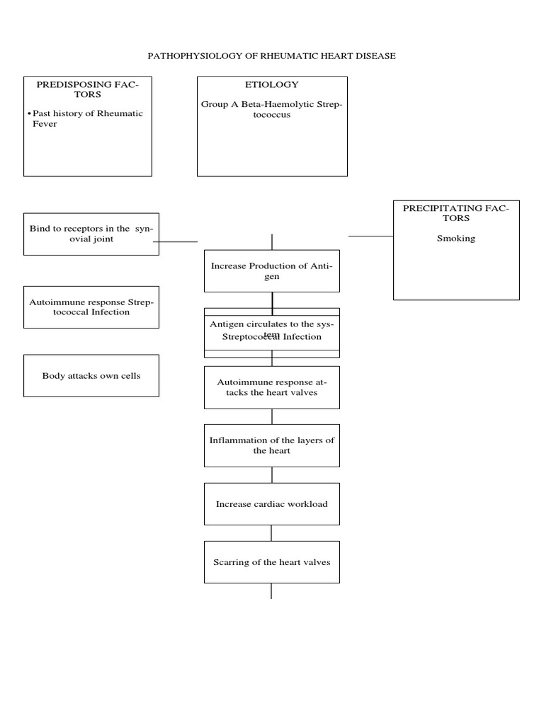 RHD Pathophysiology | PDF