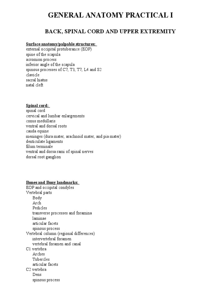 General Anatomy Practical I | PDF | Vertebra | Vertebral Column