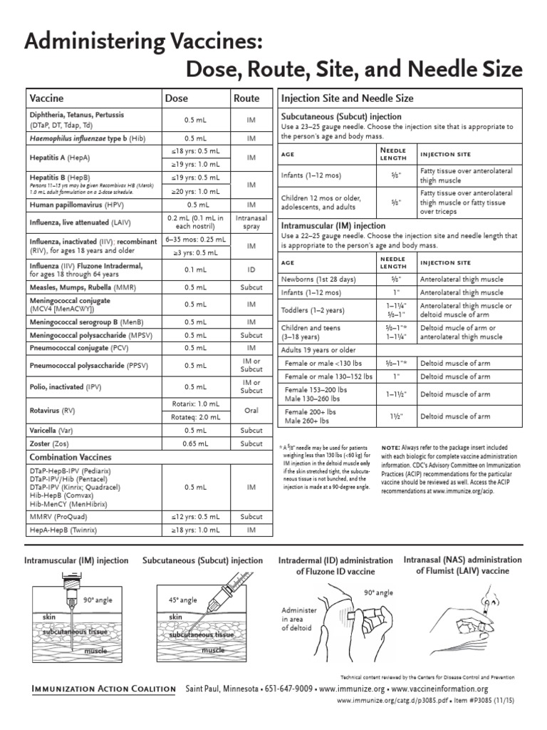 Administering Vaccines - Dose, Route, Site and Needle Size | PDF ...