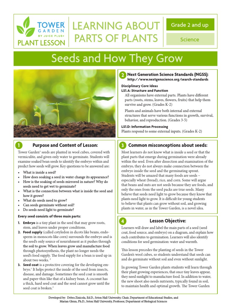 All Grade 2 and Up Lesson Plans PPTS | PDF | Seed | Root