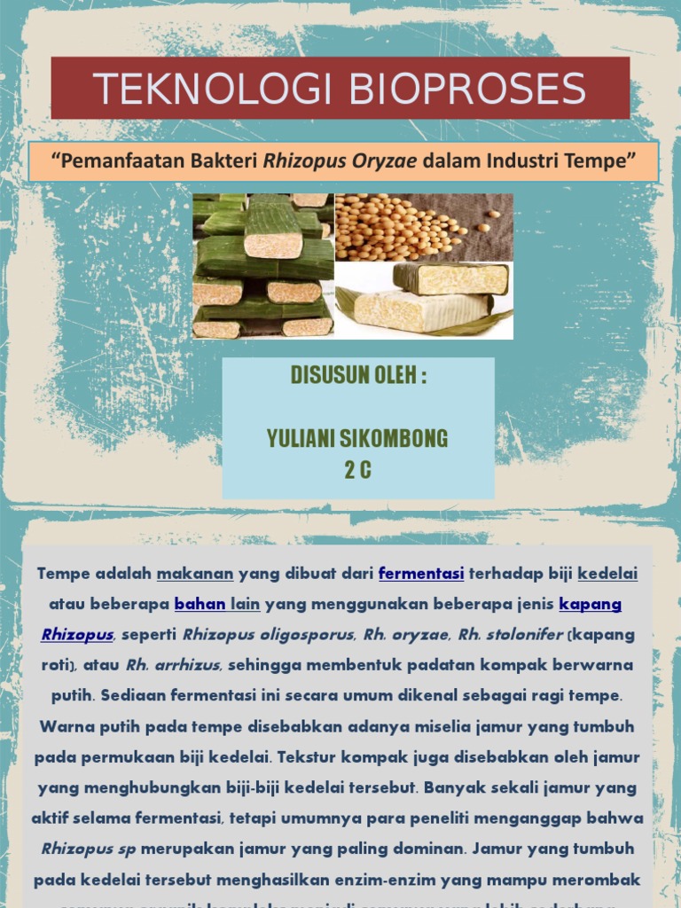 Teknologi Bioproses Yulianiii | PDF