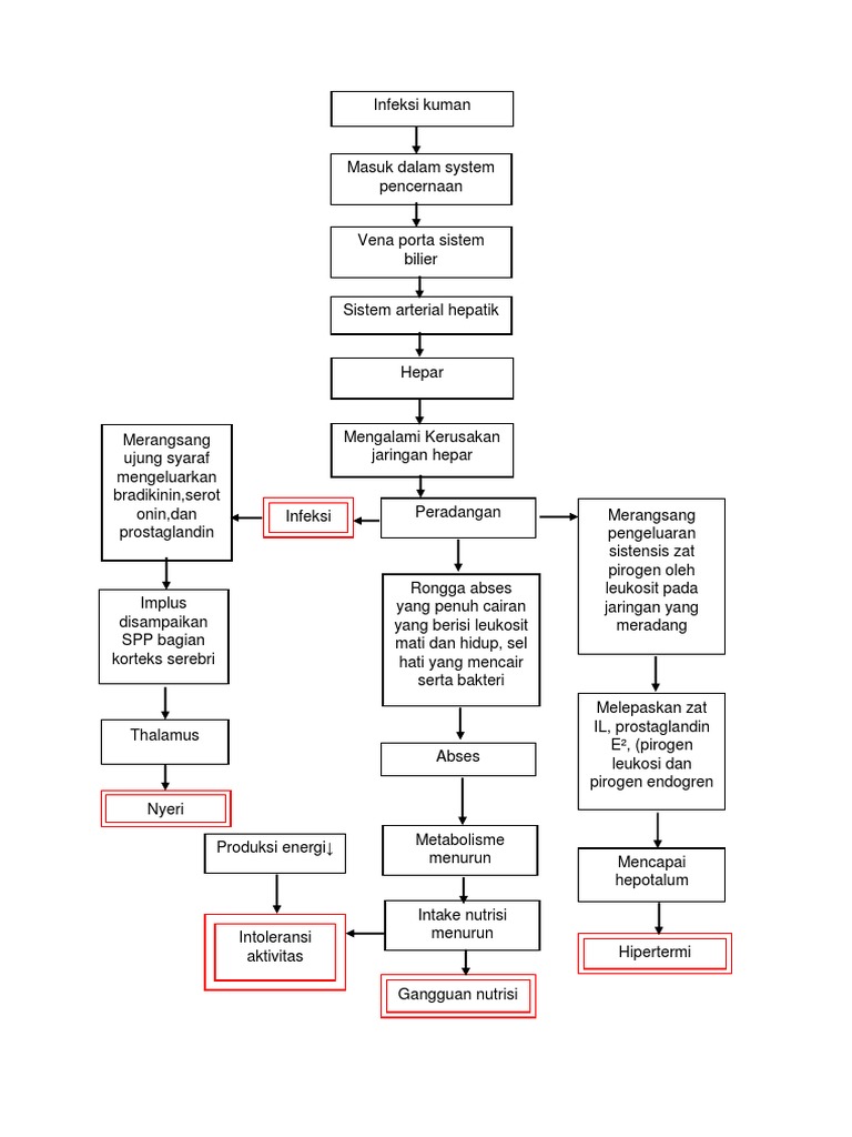 Abses Hepar Pathway