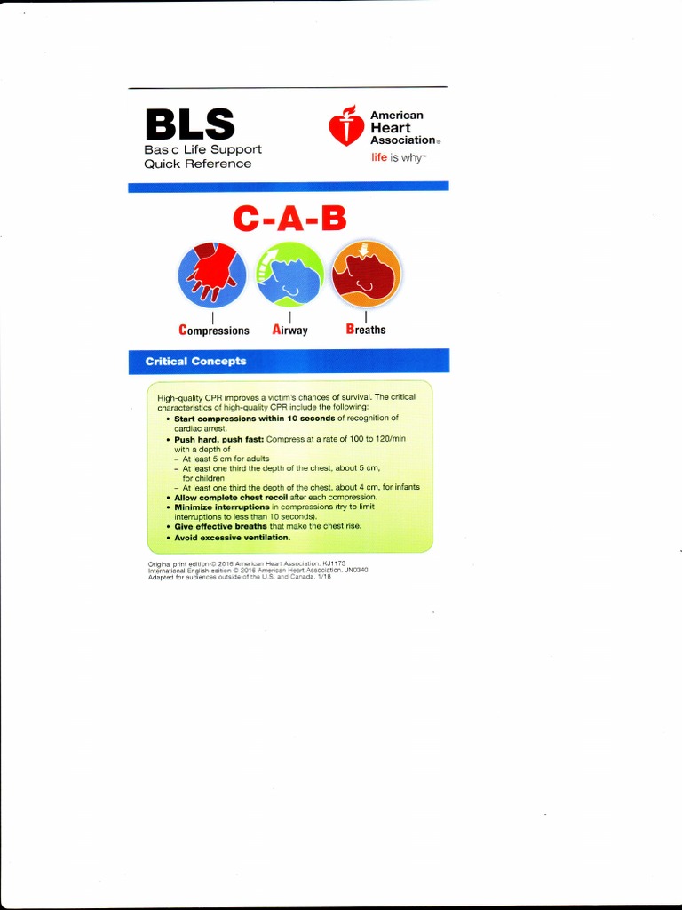 BLS AHA 2018 Flashcard | PDF