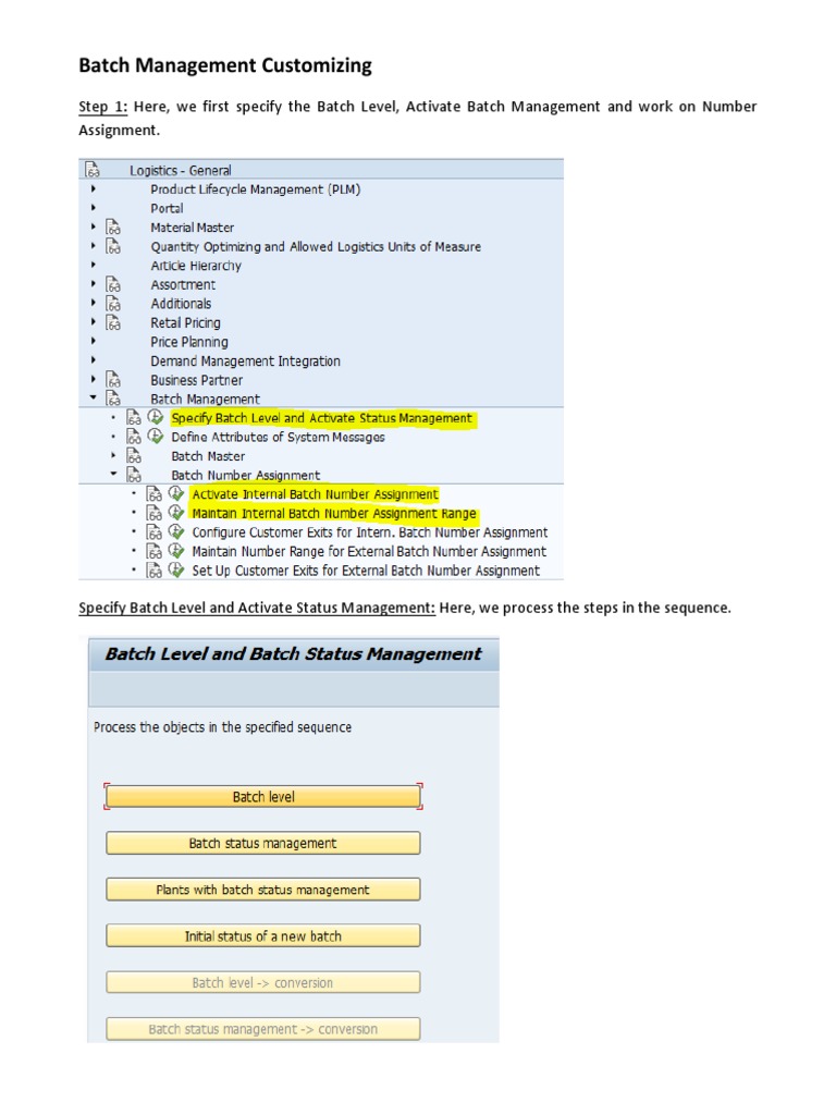 SAP Batch Management Customization Guide | PDF | Inventory | Business