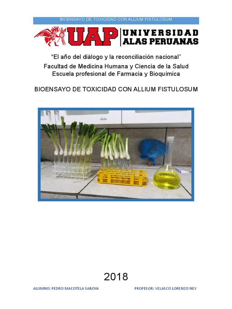 Bioensayo de Toxicidad Con Allium Fistulosum | Cromo | Cebolla