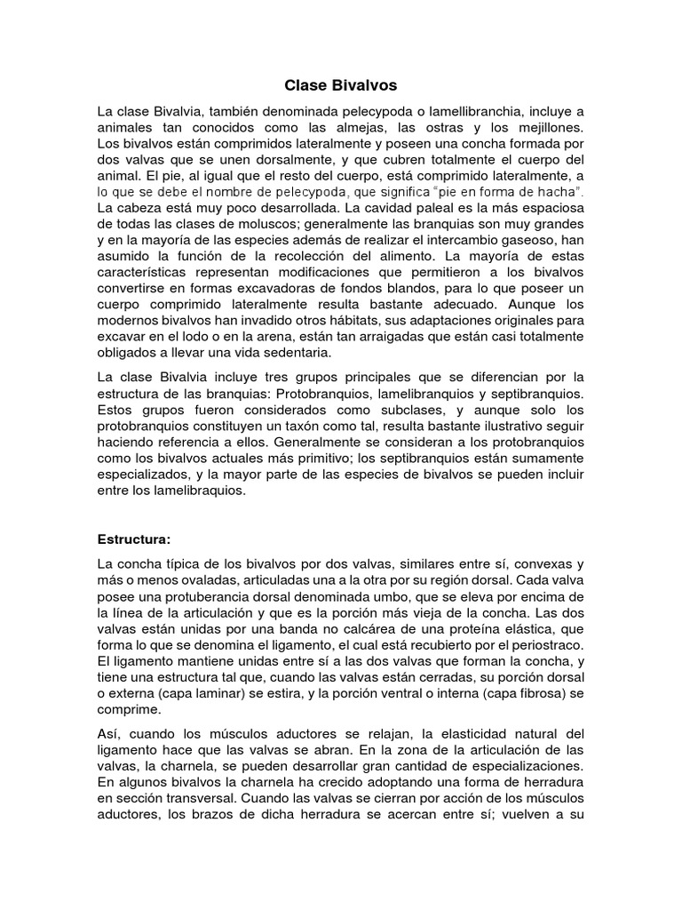 Clase Bivalvos | PDF | Bivalvia | Moluscos