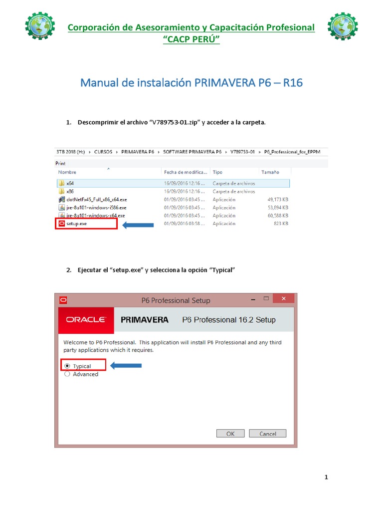 Manual Primavera p6 - r16 | PDF