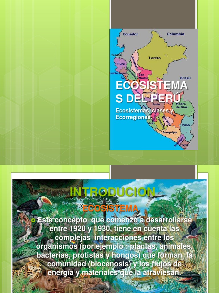 Ecosistemas PDF | PDF | Ecosistema | Geografía Física