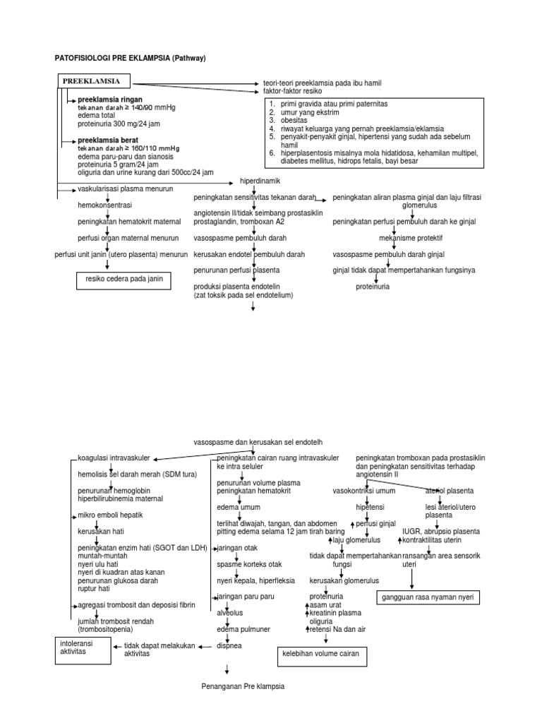 WOC Pathway Sepsis | PDF