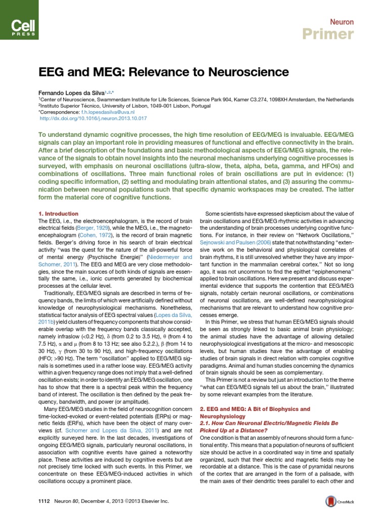Primer: EEG and MEG: Relevance To Neuroscience | PDF | Neural ...