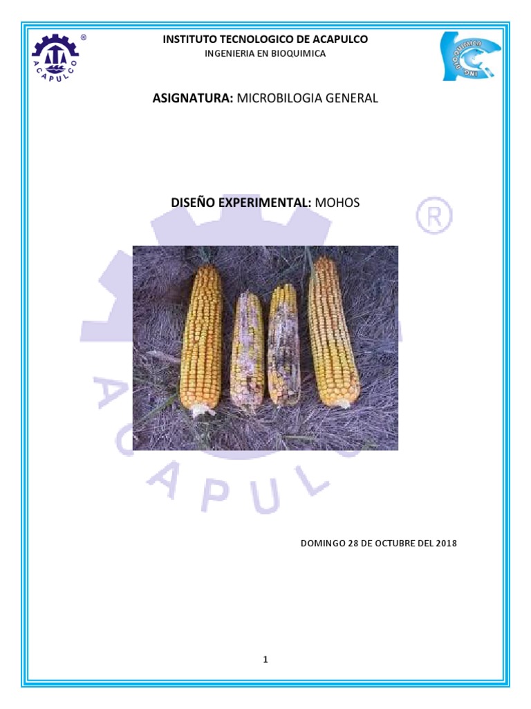 Dis. Exp 8 Mohos | PDF | Molde | Hongo