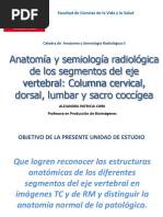 Signo de Mickey Mouse | PDF | Vena | Ultrasonido médico