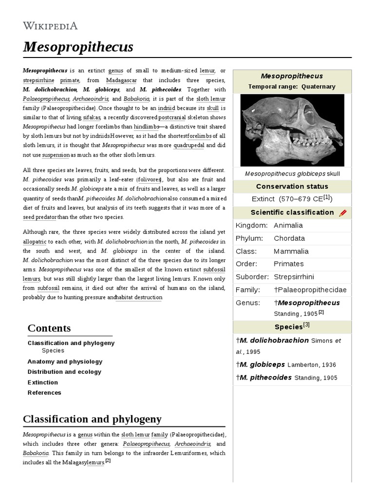 Mesopropithecus: Temporal Range: Quaternary | PDF | Mammals Of Africa ...