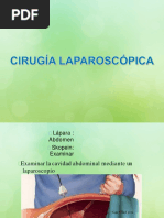 Colpoperineoplastia: Técnica y Procedimiento | PDF