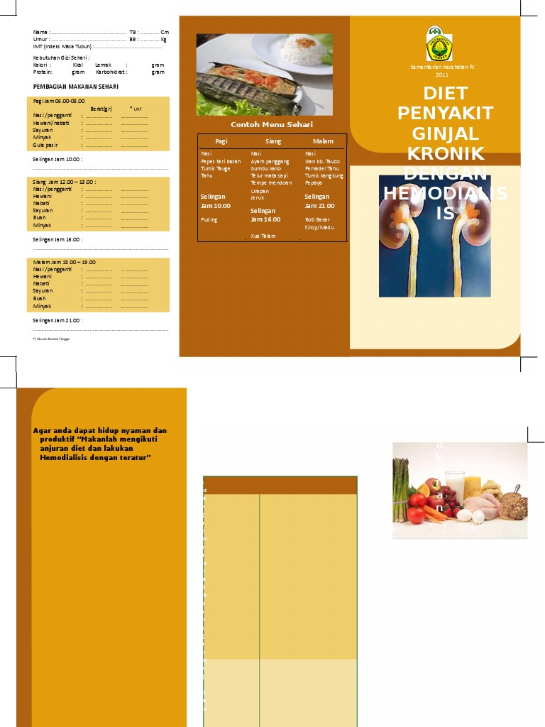 Osur Diet Penyakit Ginjal Kronik Dengan Hemodialisis | PDF