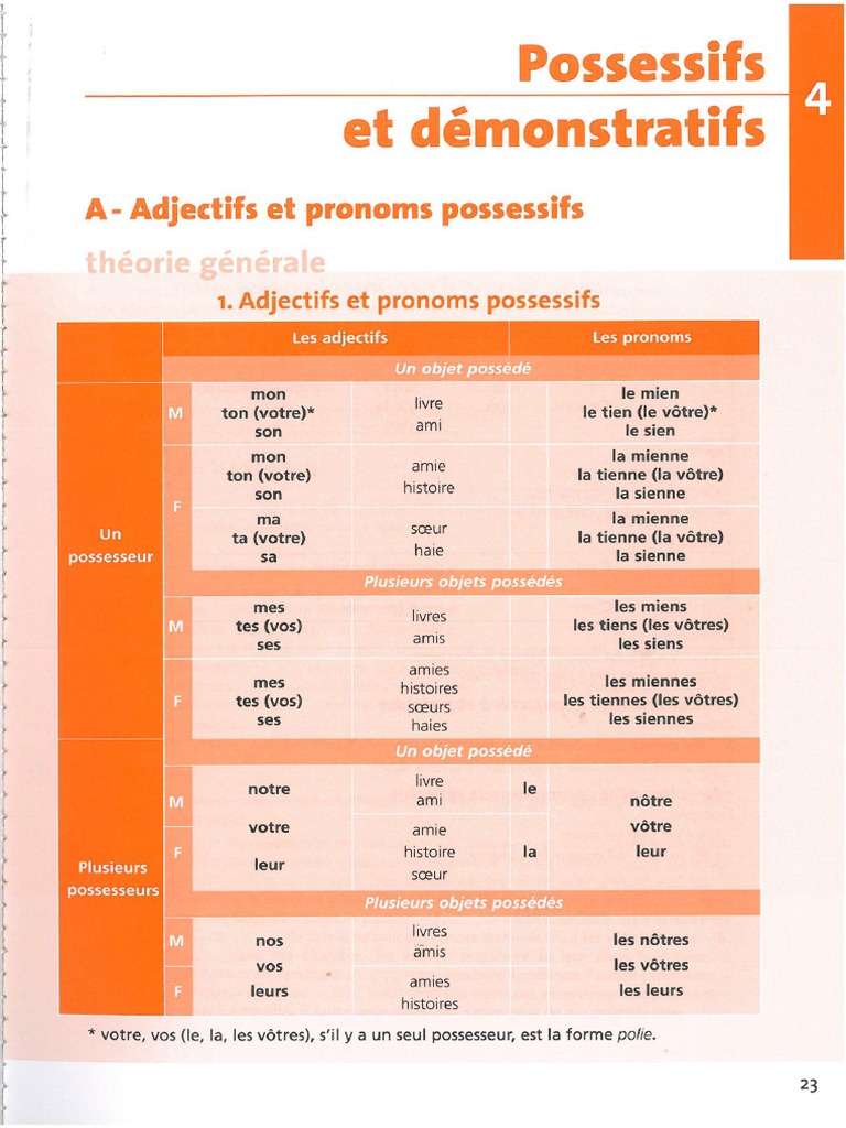 Extrait L'exercisier Les Adjectifs Possessifs Et Demonstratifs | PDF