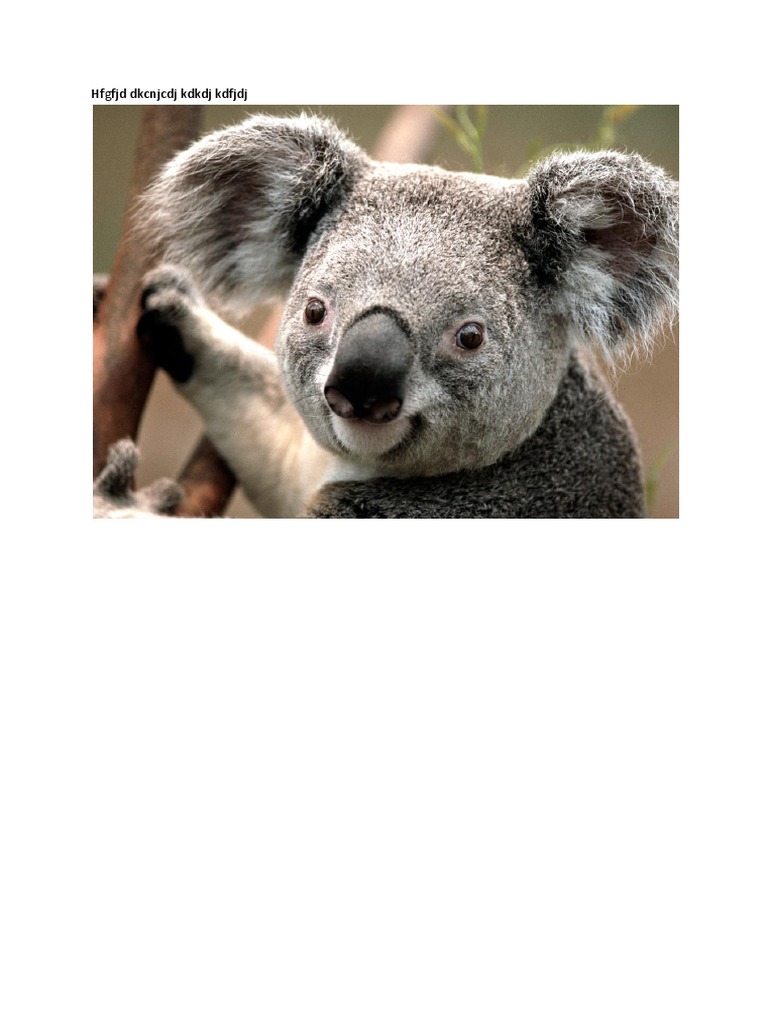 HFGFJD DKCNJCDJ KDKDJ KDFJDJ | PDF