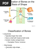 0350 CH 07-Box8 | PDF | Anatomical Terms Of Motion | Shoulder