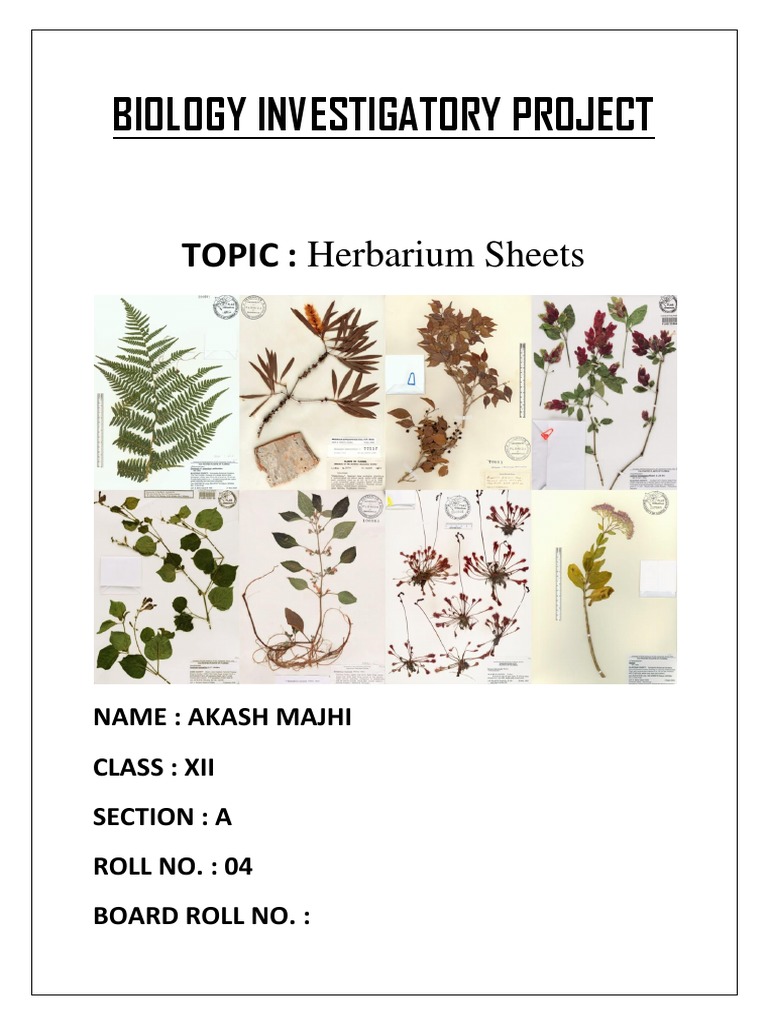 Biology Project Work Investigatory Project1 | PDF | Jute | Plants