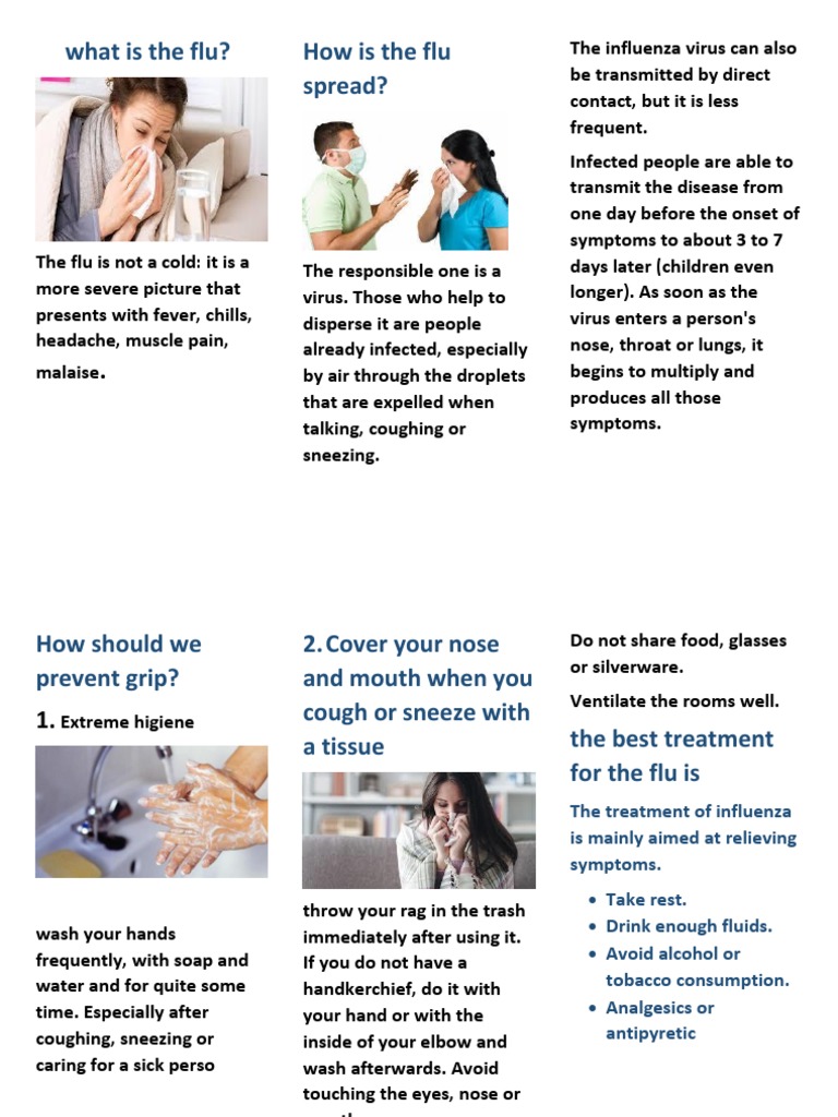 Triptico Ingles | PDF | Influenza | Veterinary Medicine