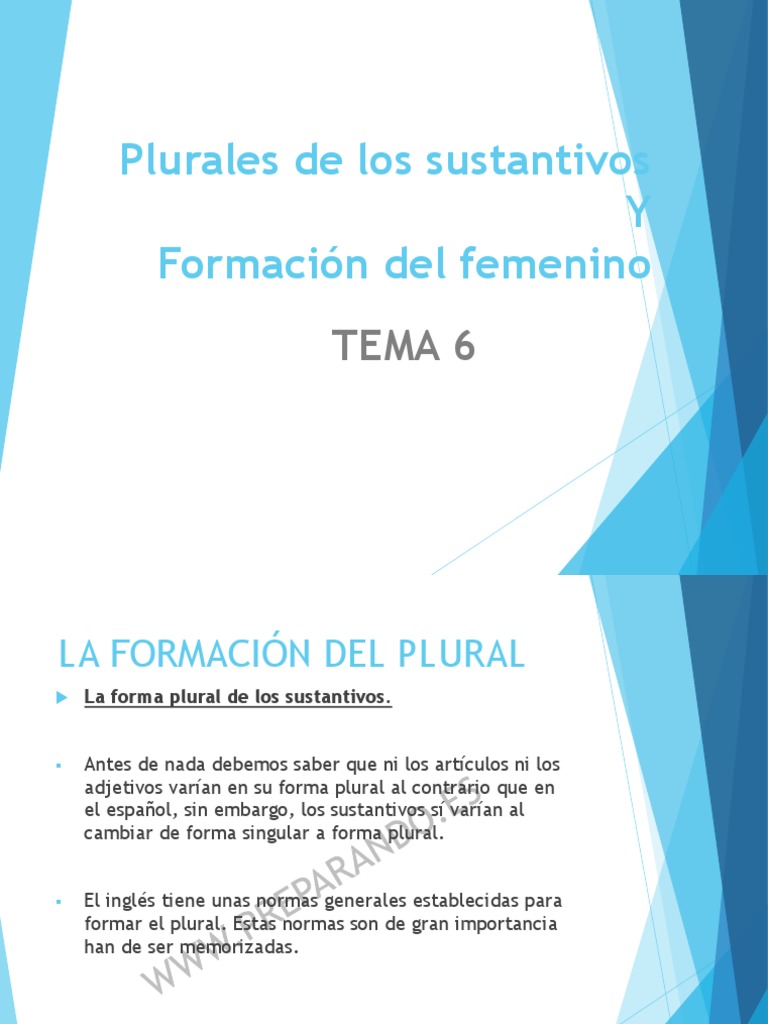 Plurales de los sustantivos Y Formación del femenino: Tema 6 | Plural ...