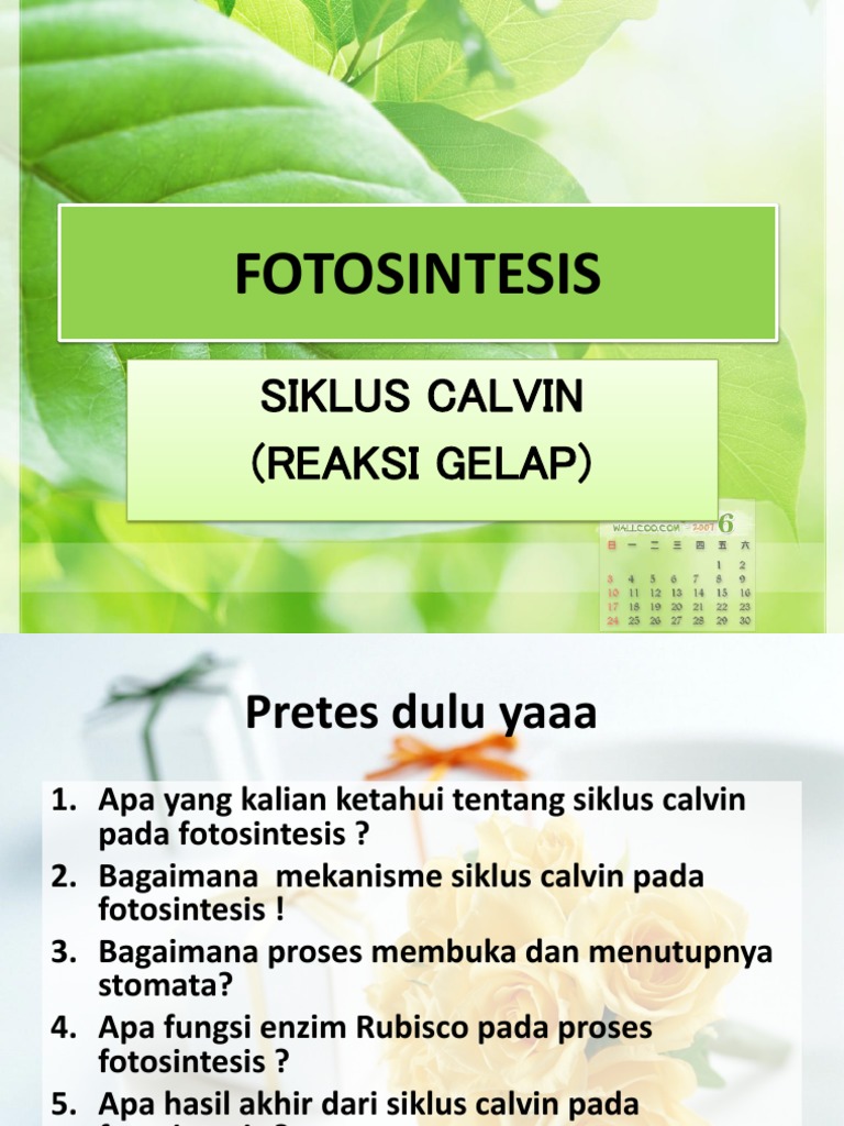 Ppt Fotosintesis Reaksi Gelap (Siklus Calvin)
