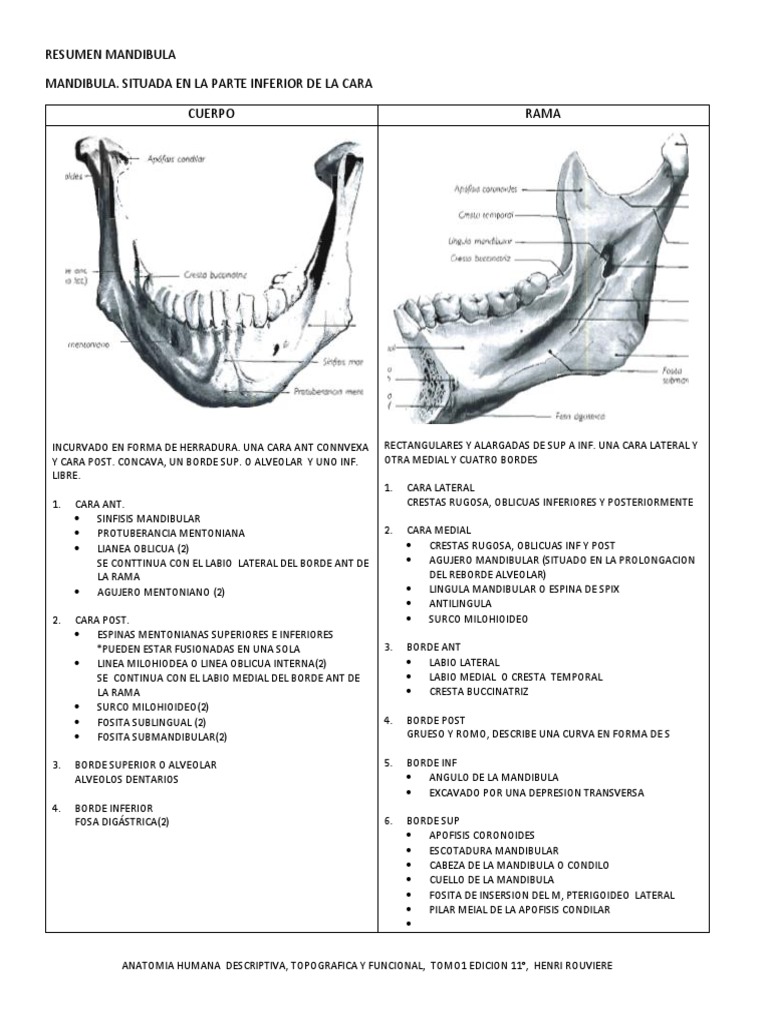 Maxilar Inferior Resumen PDF