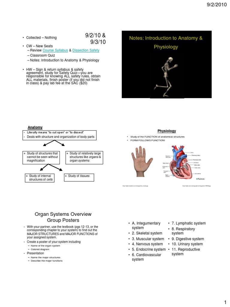 Notes: Introduction To Anatomy & Physiology: Course Syllabus Dissection ...