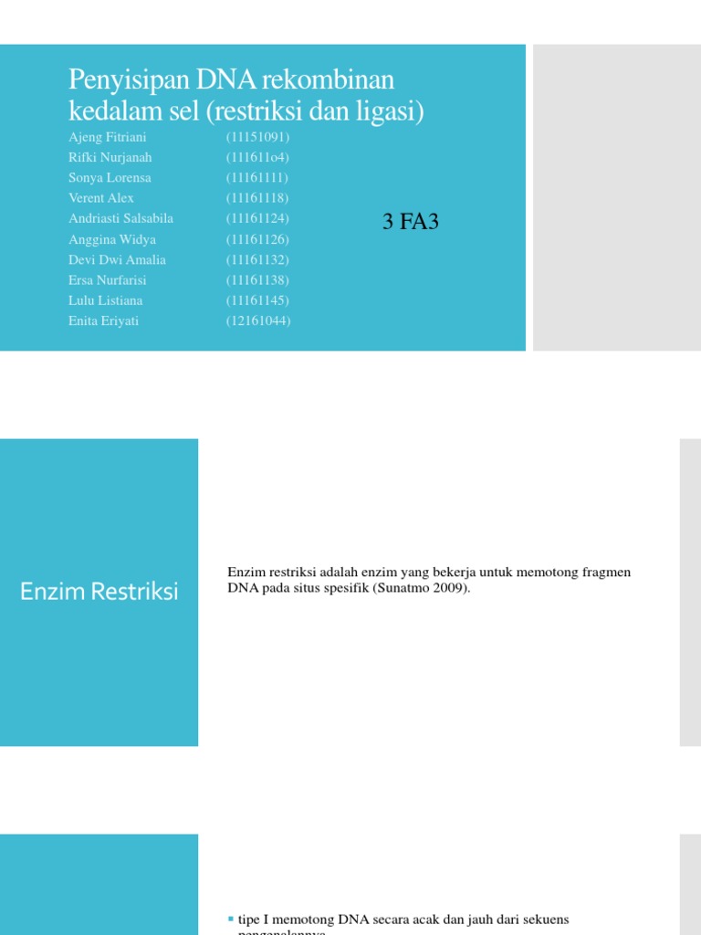 Restriksi Dan Ligasi | PDF