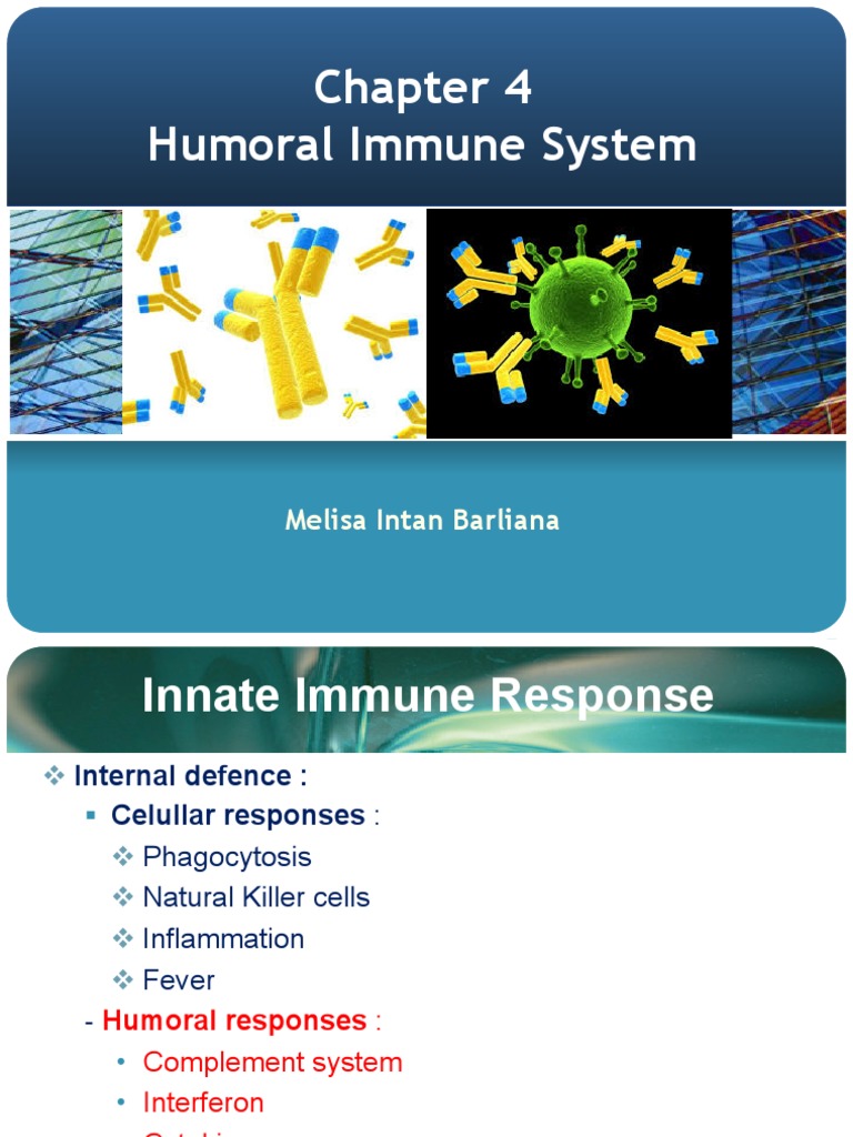 Humoral Immune System-Melisa | PDF | Antibody | B Cell