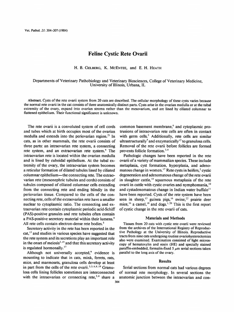 Feline Cystic Rete Ovarii Histology | PDF | Epithelium | Ovary