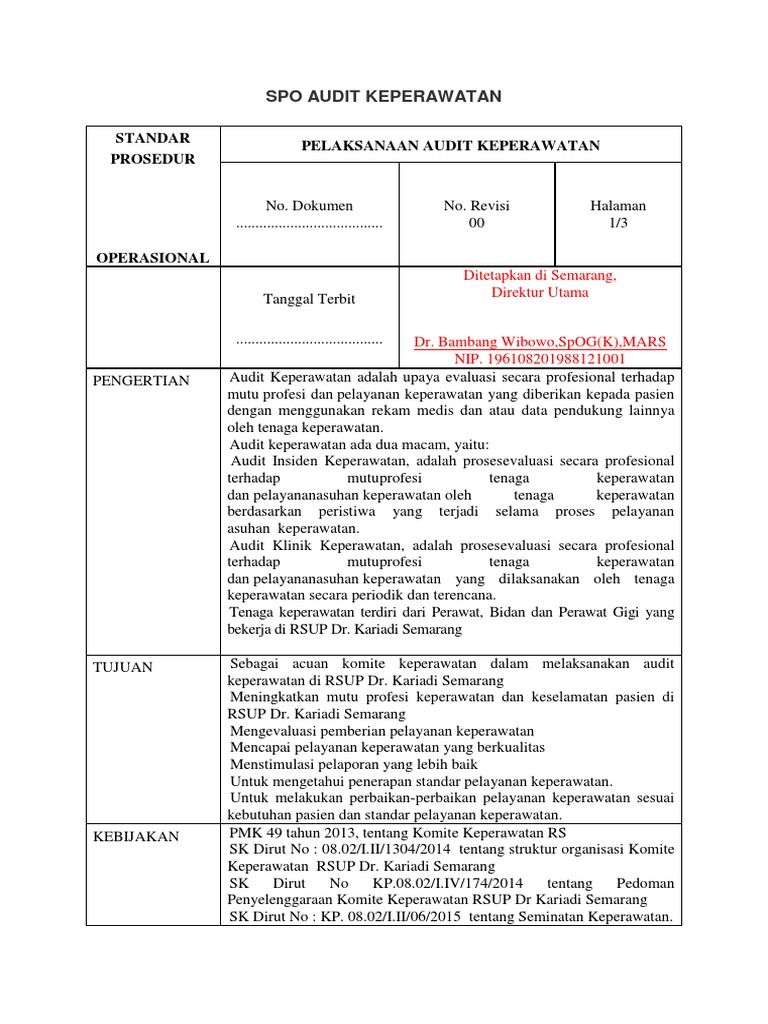 Spo Audit Keperawatan | PDF