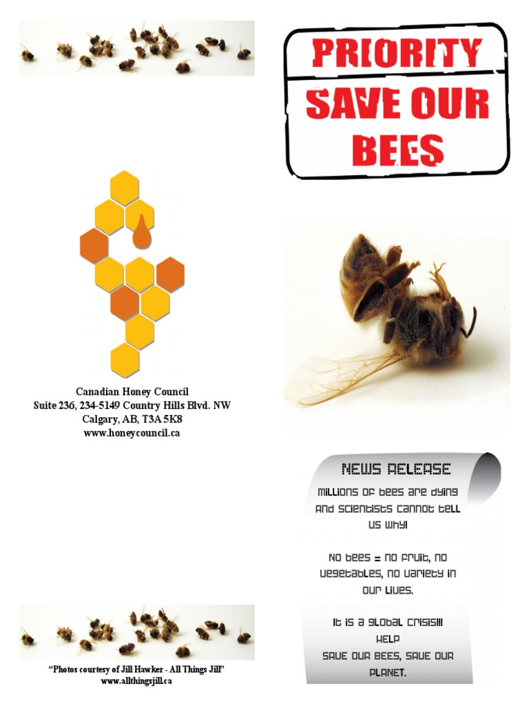 Save Our Bees Campaign Donation Guide | PDF | Honey Bee | Beekeeping