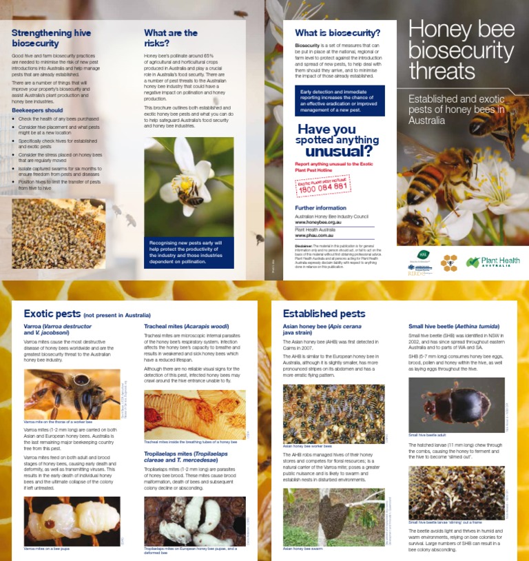 Honey Bee Biosecurity Threats Brochure | PDF | Bees | Honey Bee