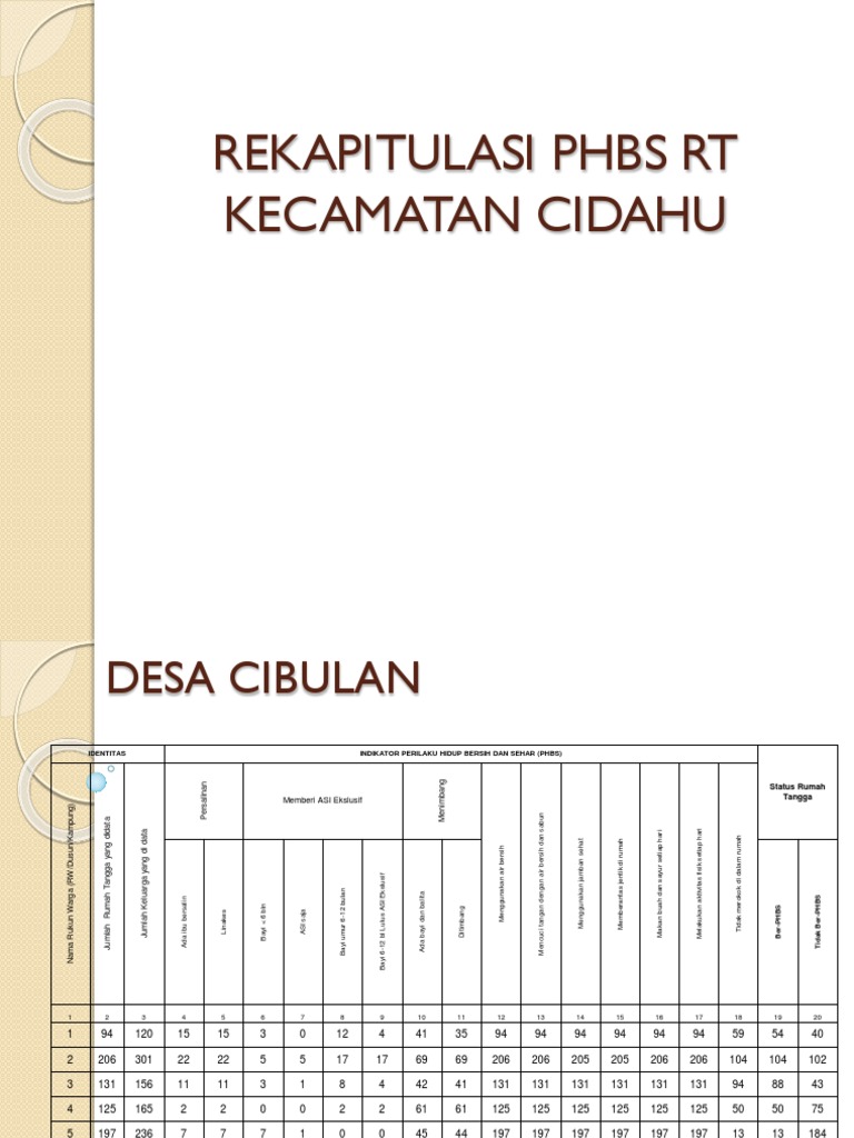Rekapitulasi Phbs RT | PDF