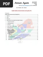 HSE Organisational Structure Template | PDF | Labor Relations | Safety