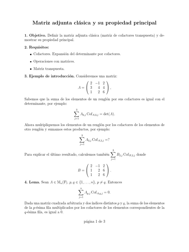 Adj Matrix | Descargar gratis PDF | Determinante | Matriz (Matemáticas)