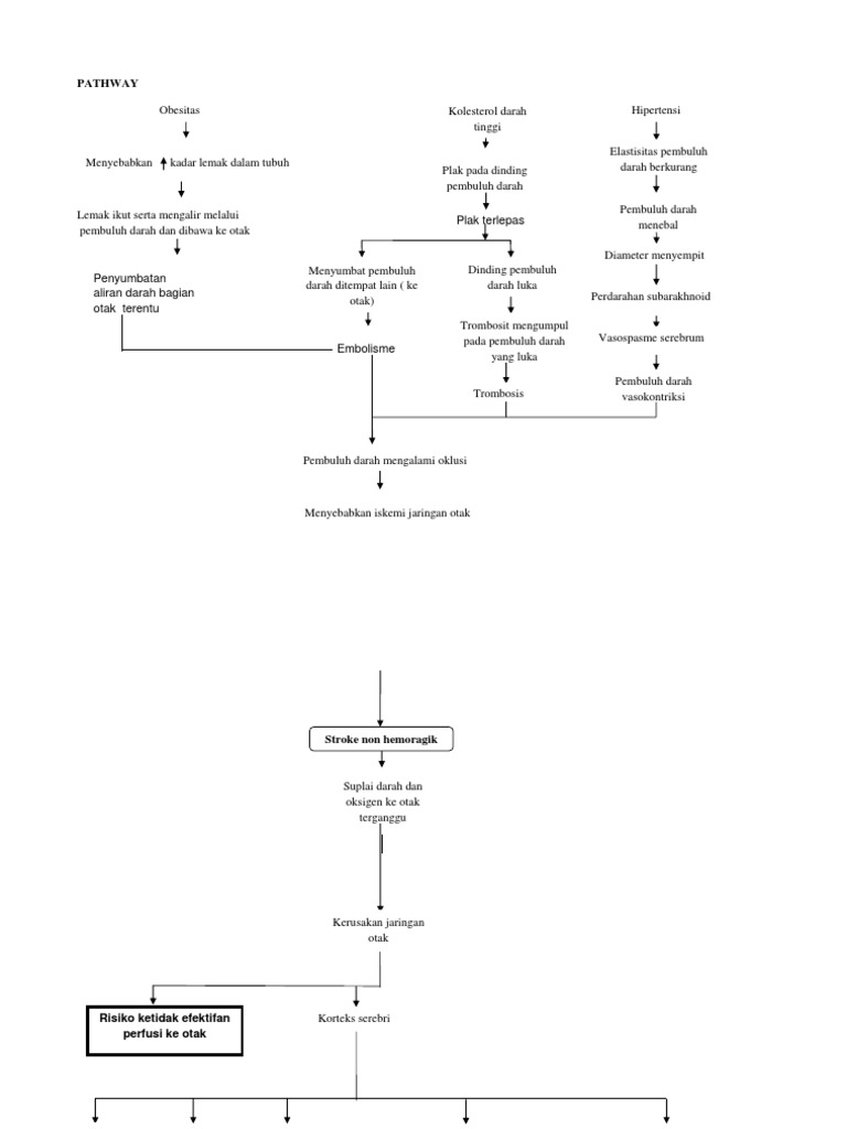 Pathway Stroke Non Hemoragic | PDF