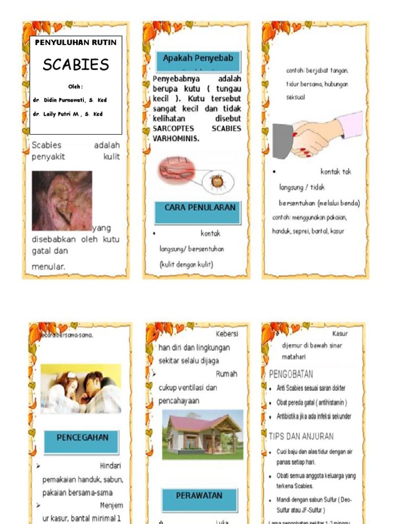 Leaflet Scabies | PDF