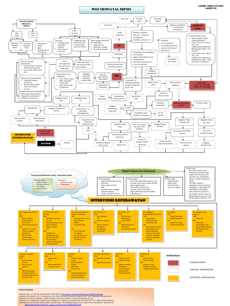 Woc Bronkopneumonia | PDF